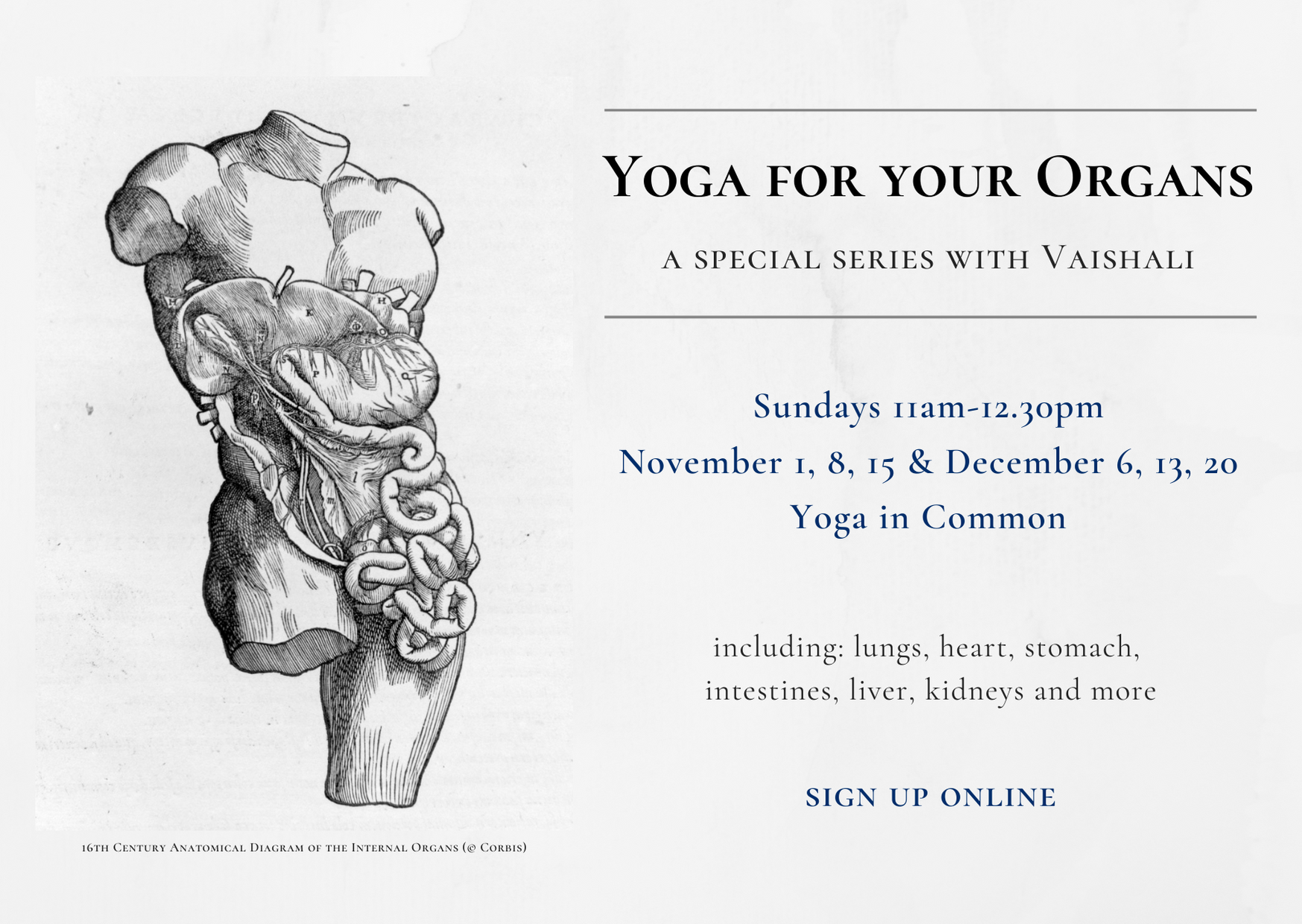 Organic Immersion: Yoga+Movement for your Organs – The Wise Body